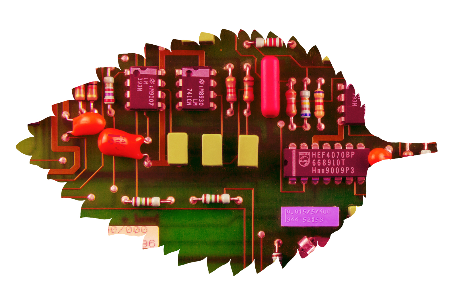 Can Science Build a Better Leaf? | Science History Institute