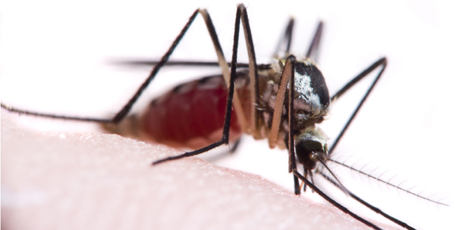 Bad Air | Science History Institute