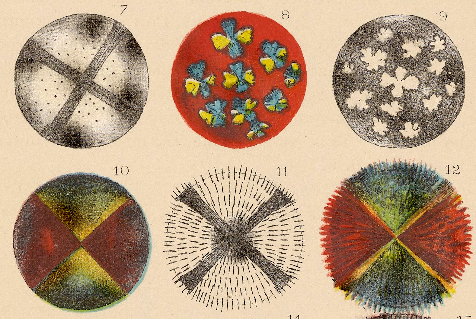 Fats, Butter, Beef, and Lard | Science History Institute