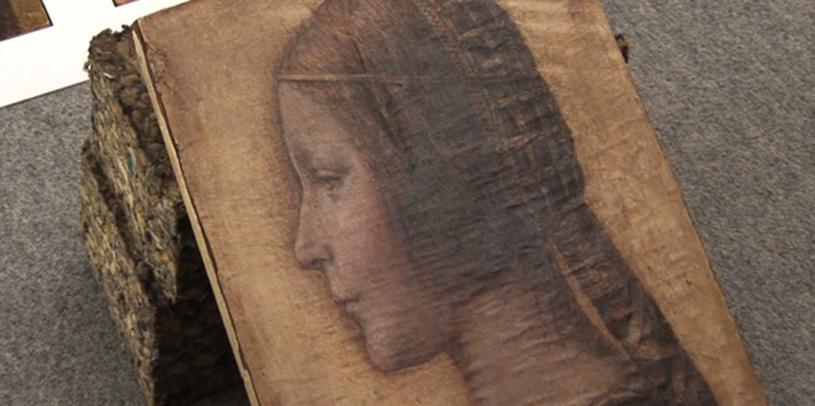The Da Vinci Question | Science History Institute