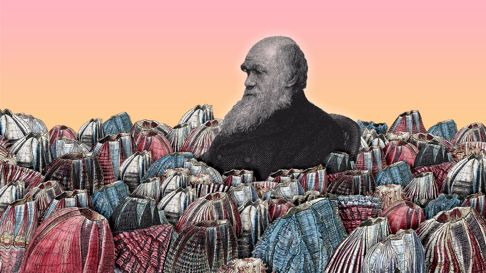Darwin’s Barnacles | Science History Institute