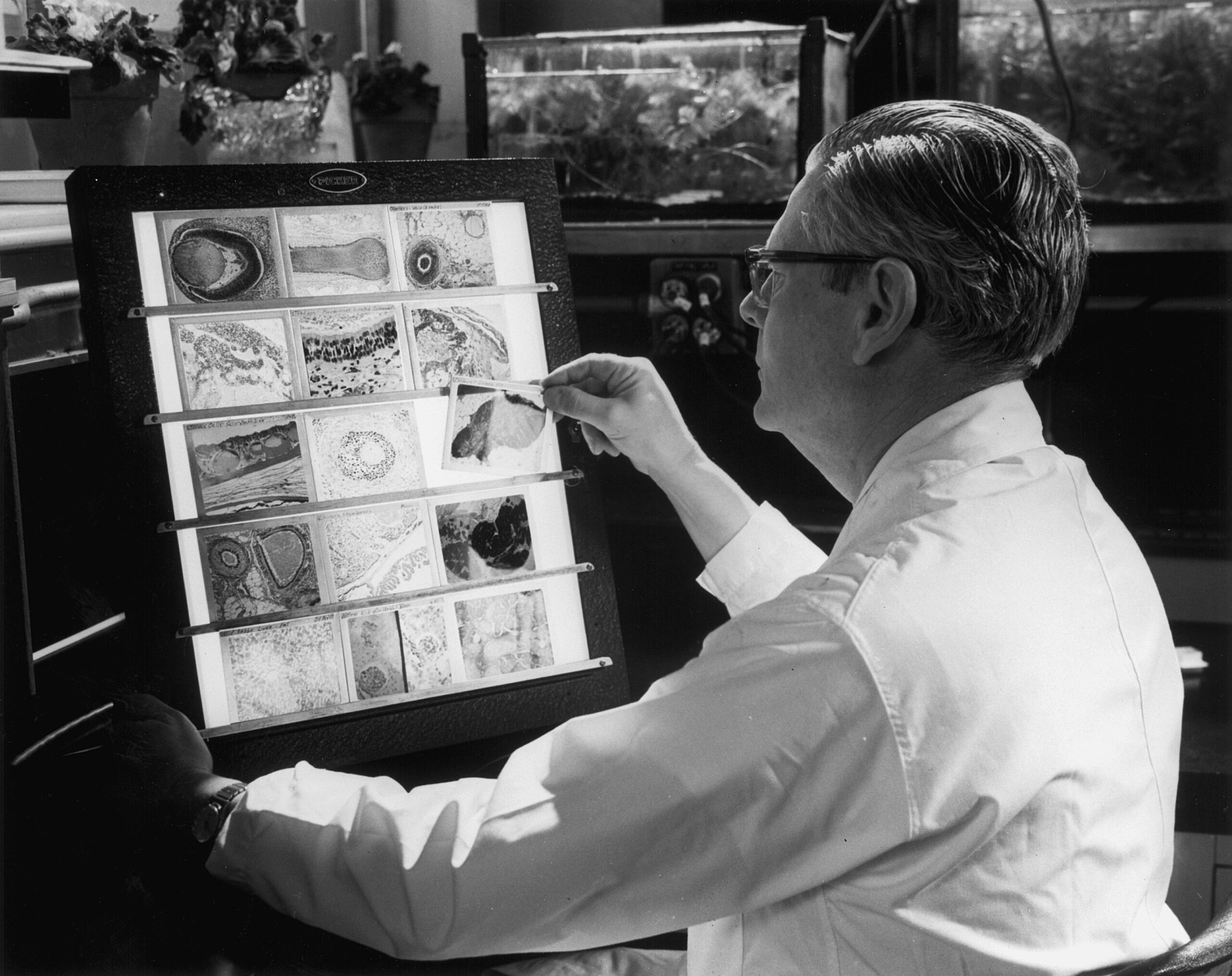 A Vulnerable Earth | Science History Institute