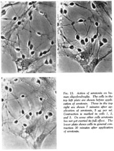 Wayne Woolley’s Marvelously Equipped Mind | Science History Institute