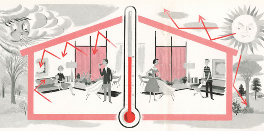 In the Pink | Science History Institute