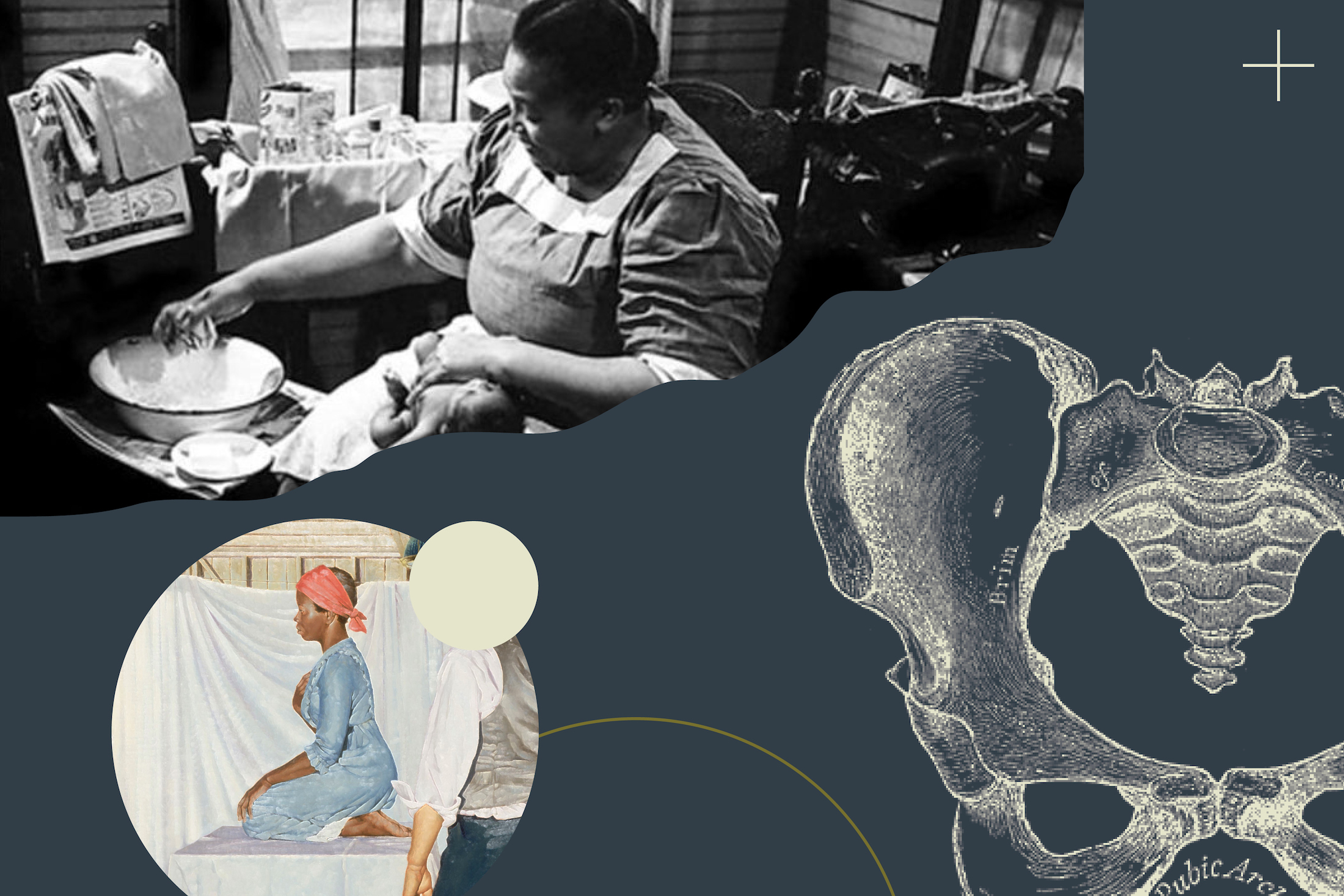 The Mothers of Gynecology | Science History Institute