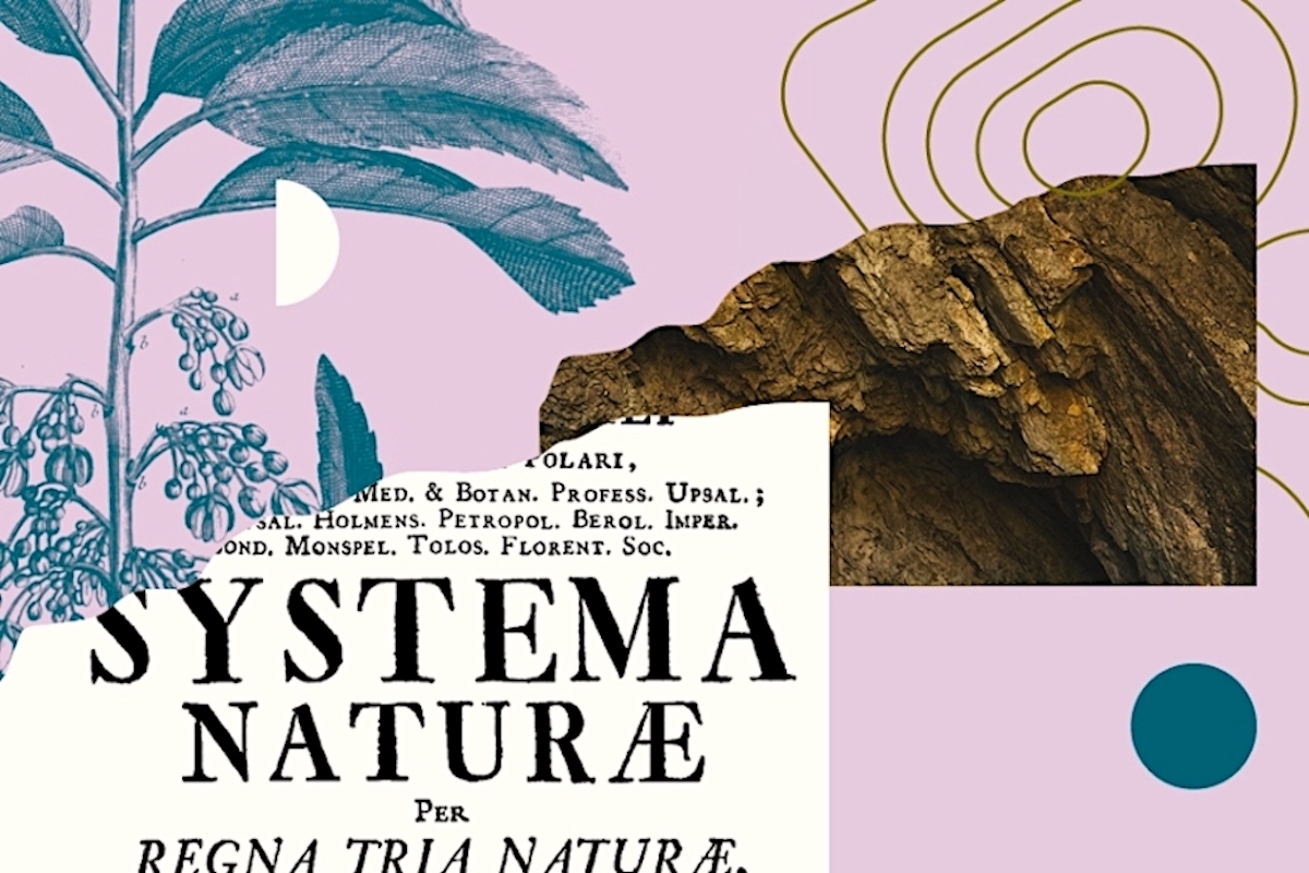 How Science Invented the Myth of Race: Origin Stories | Science History ...