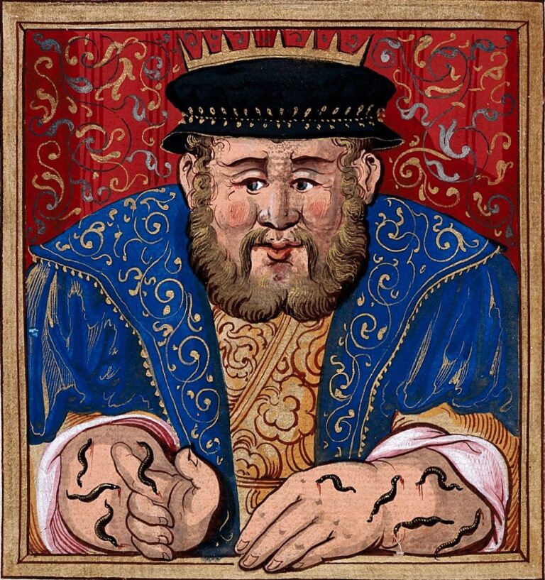 Medicinal Leeches and Where to Find Them | Science History Institute