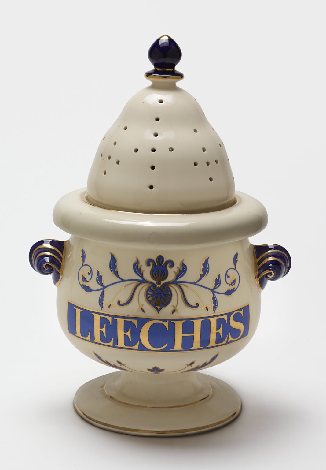 Medicinal Leeches and Where to Find Them | Science History Institute