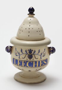 Medicinal Leeches and Where to Find Them | Science History Institute