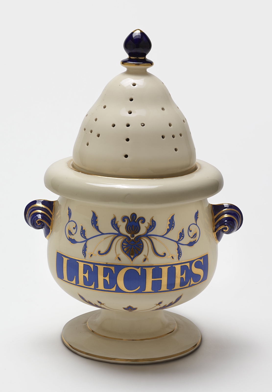 Medicinal Leeches and Where to Find Them | Science History Institute