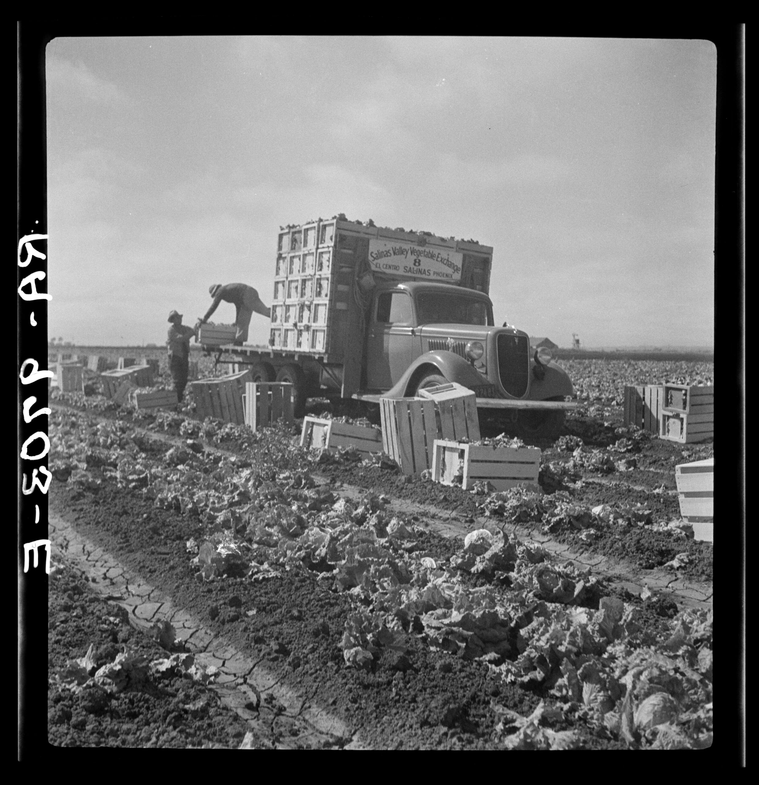 Processed: Food Science and the Modern Meal | Science History Institute