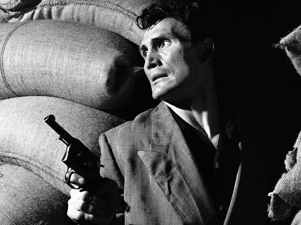 A Silent, Savage Menace: Reassessing "Panic in the Streets" | Science ...