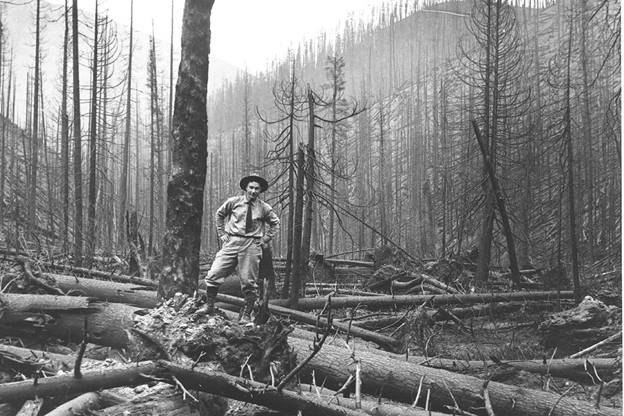 Paradise Is Burning | Science History Institute