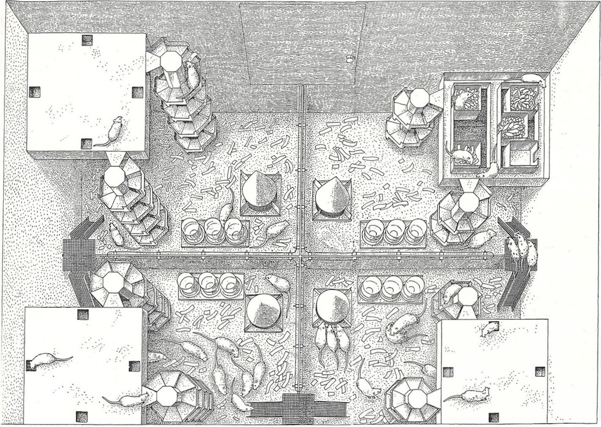 Mouse Heaven or Mouse Hell? | Science History Institute