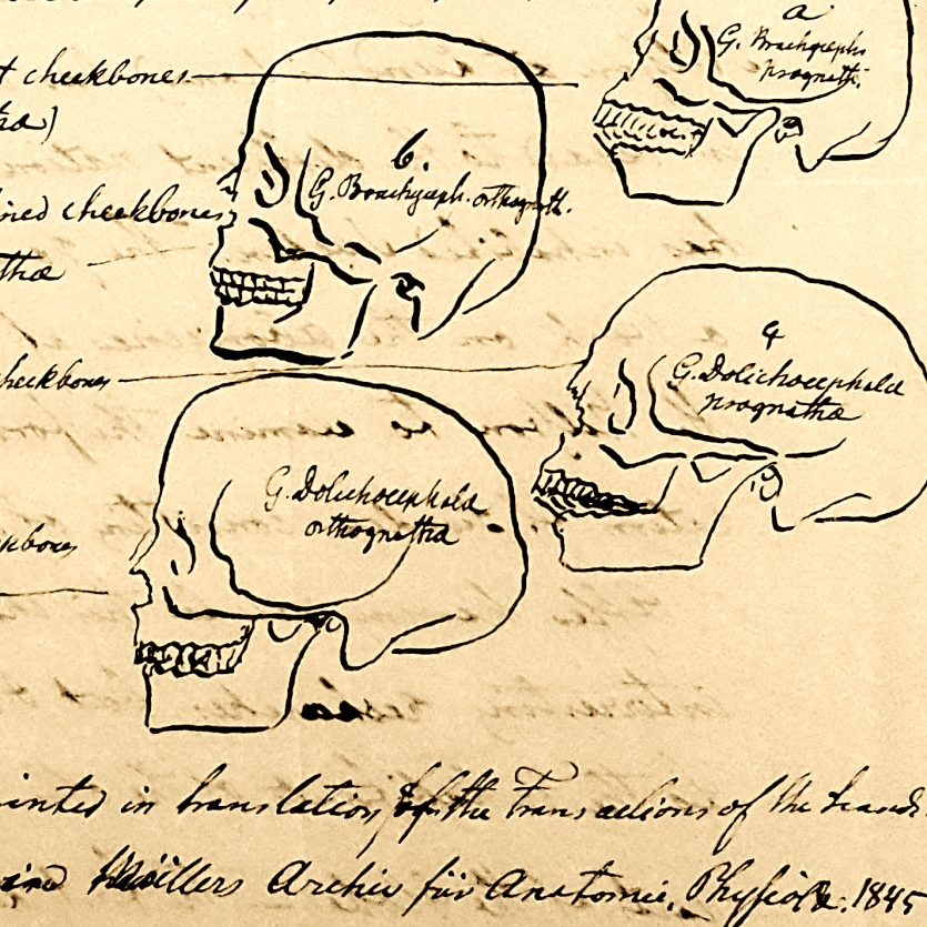 Samuel George Morton and the Afterlife of Scientific Racism in ...