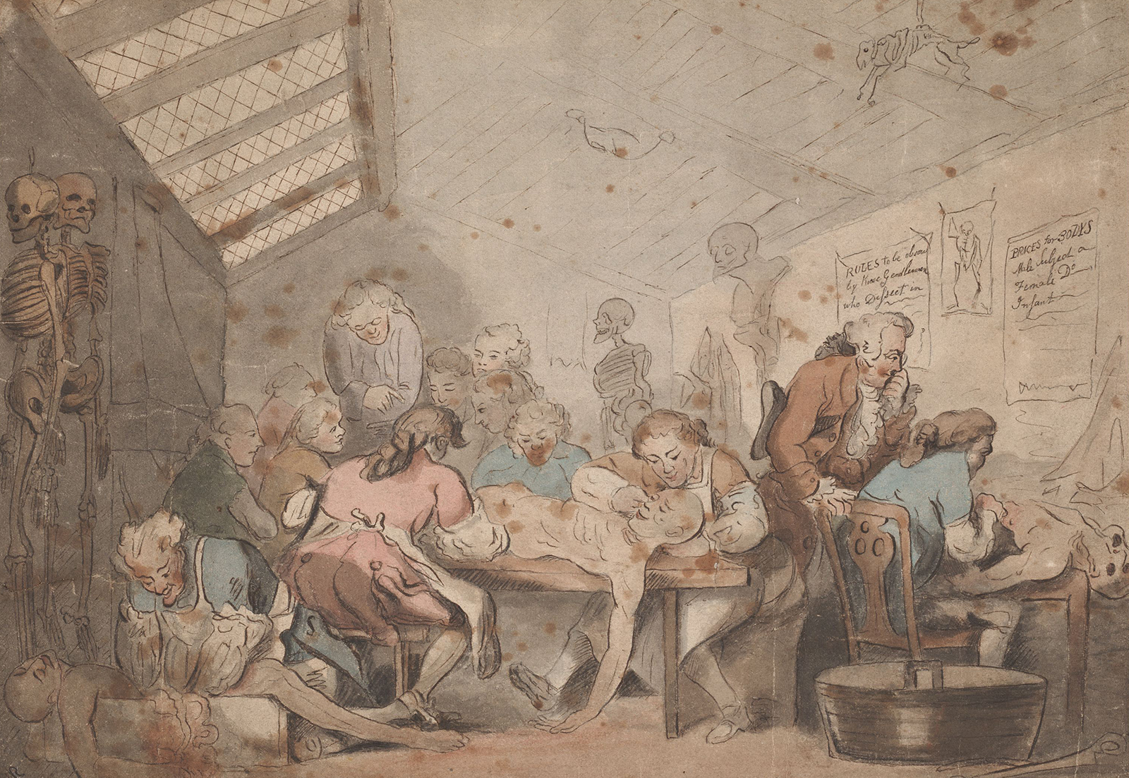 The Anatomy Riot of 1788 | Science History Institute