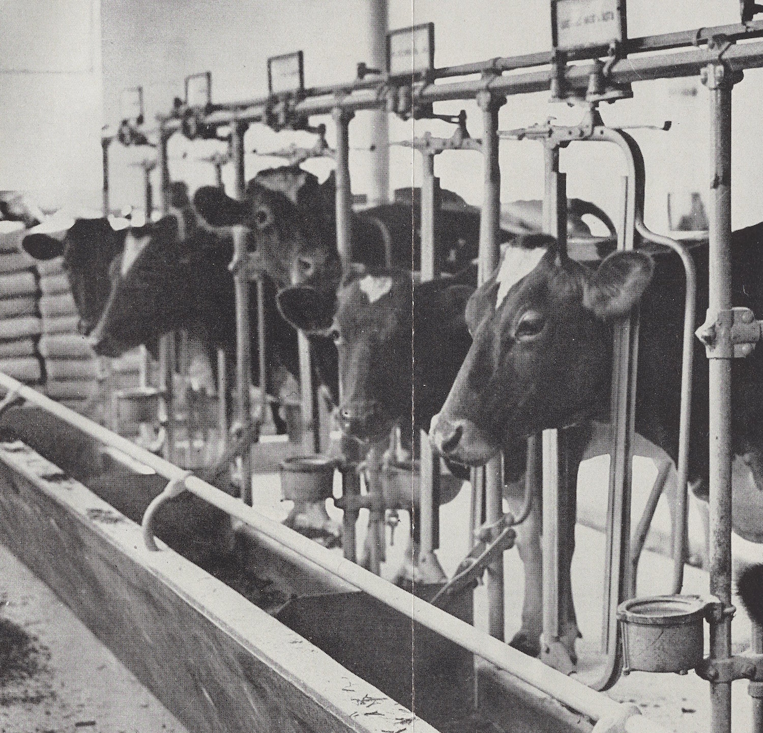 The Washington Post: The Idea of Herd Immunity to Manage the ...