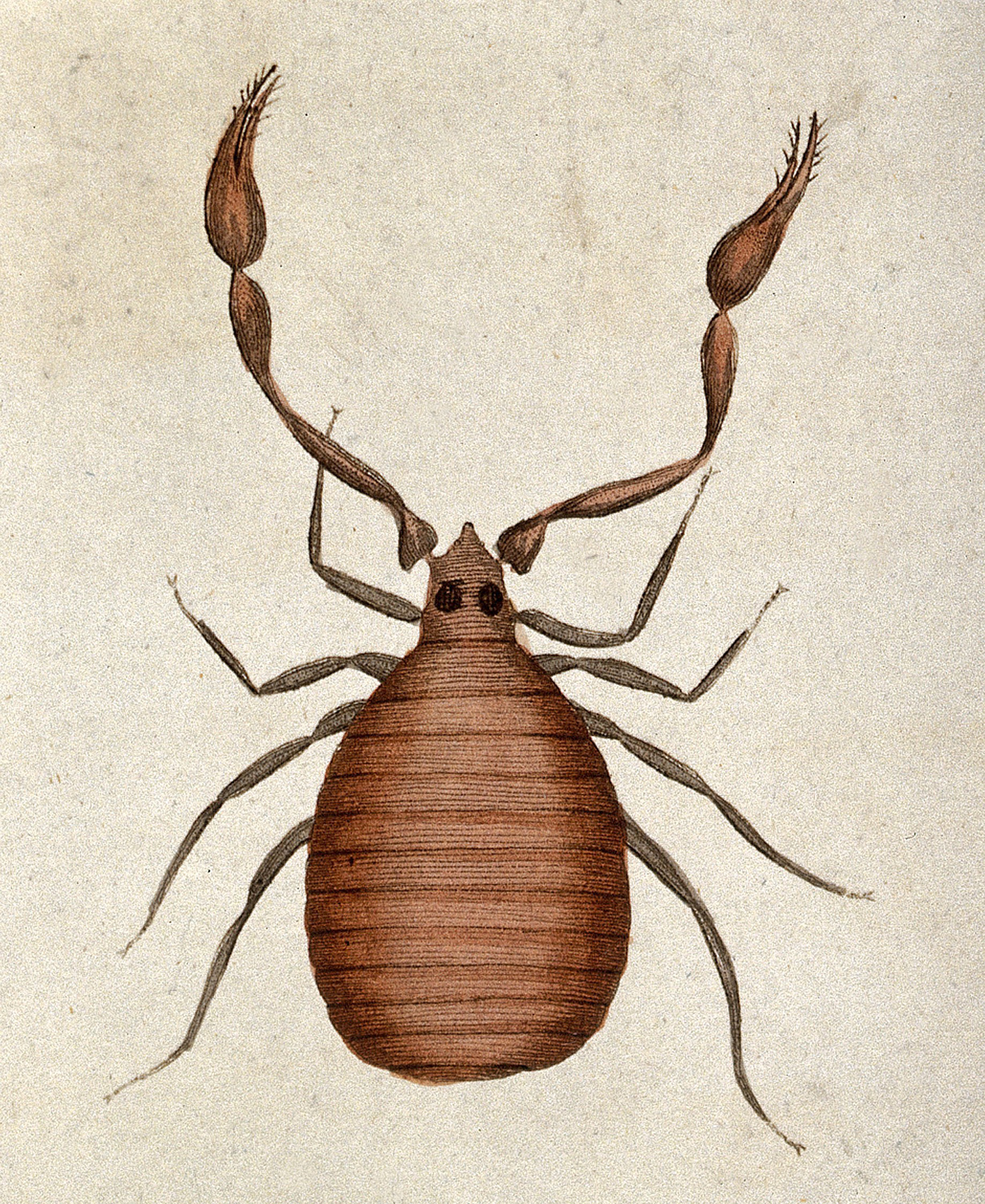 What’s That Smell You’re Reading? | Science History Institute