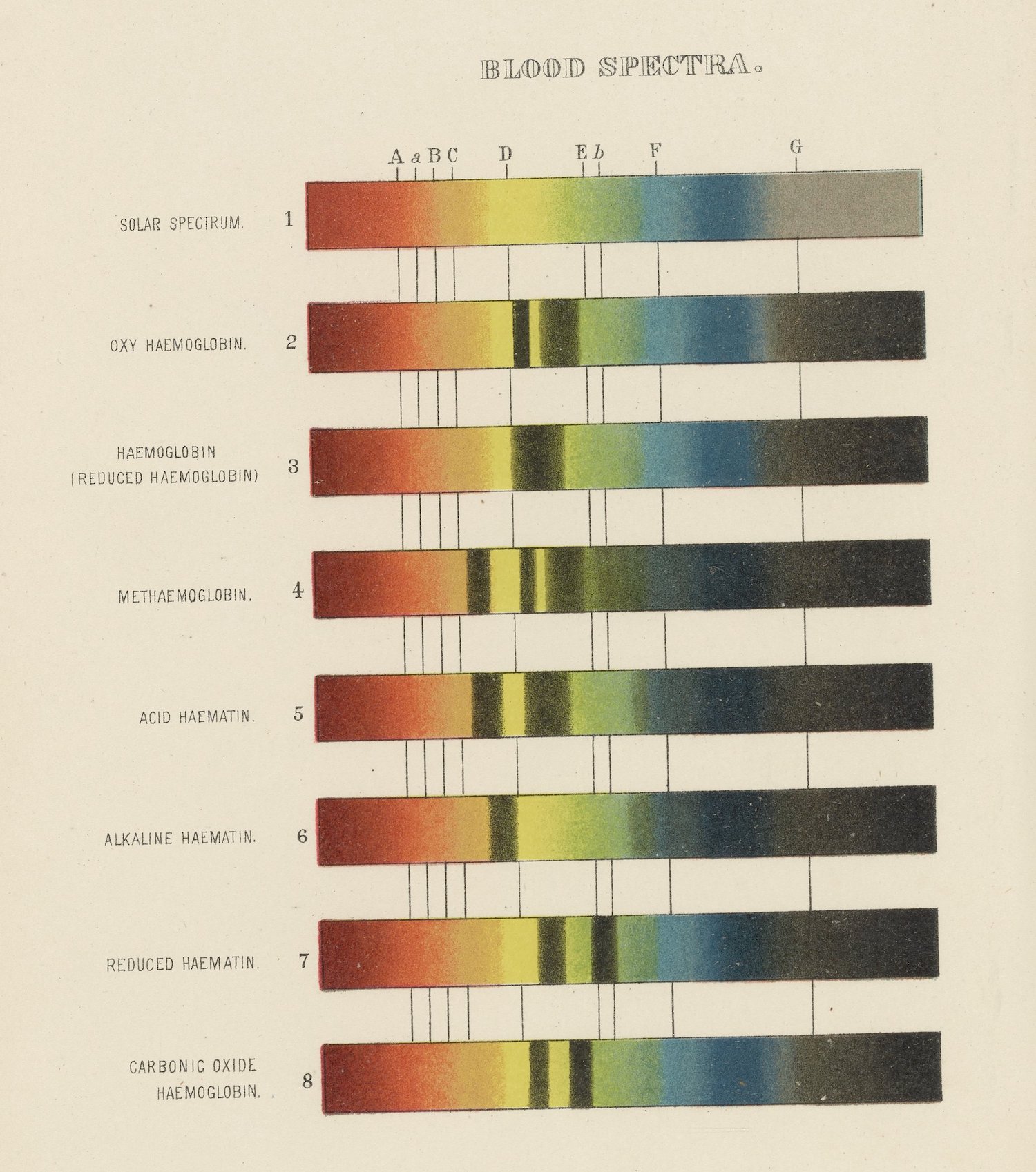 Stories of Science: Wellness Month | Science History Institute