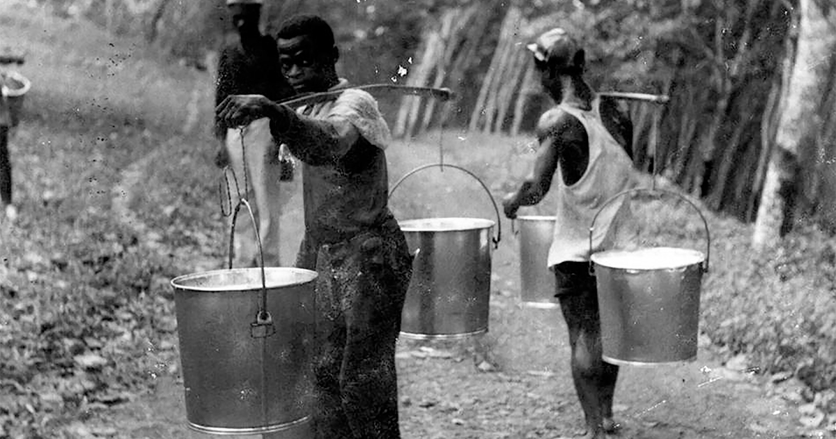 The Human Price of American Rubber | Science History Institute