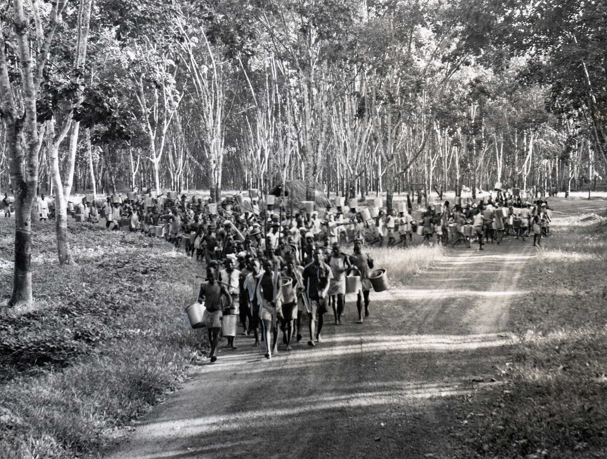 The Human Price of American Rubber | Science History Institute