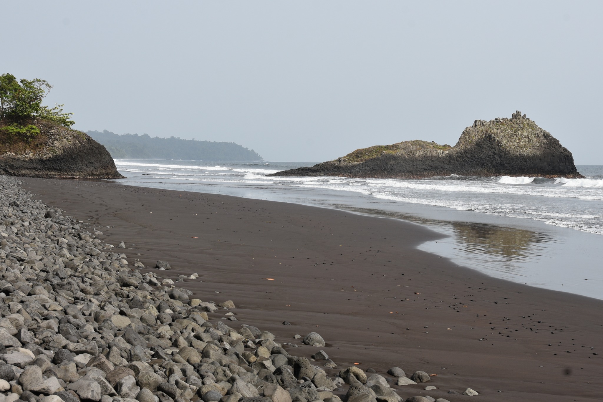 Exploring the Freshwaters of Equatorial Guinea: Land of Many Fishes ...