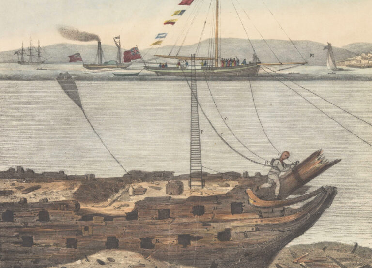 Sylvia Earle and the Call of the Deep | Science History Institute