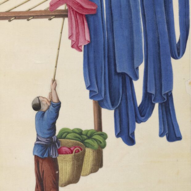 The Story of Ramie: From Seed to Finished Garment | Science History ...