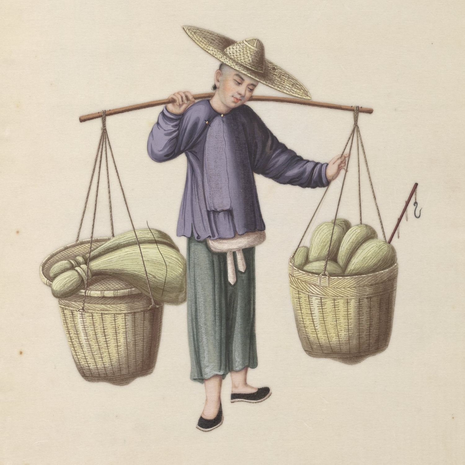 The Story of Ramie: From Seed to Finished Garment | Science History ...