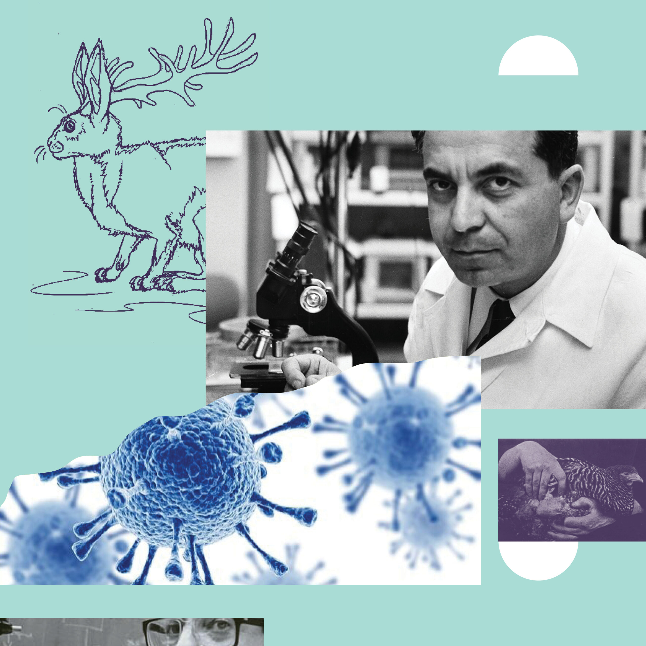 Cancer Virus Hunters: An Interview with Gregory J. Morgan | Science ...