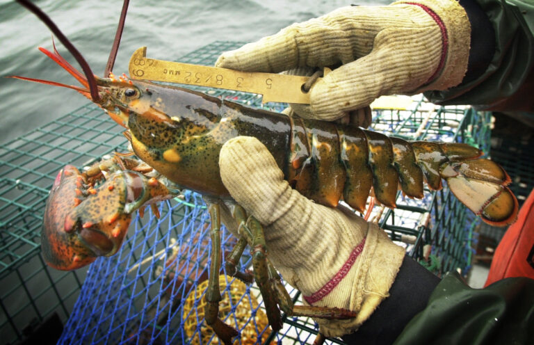 A Tragedy with No End | Science History Institute