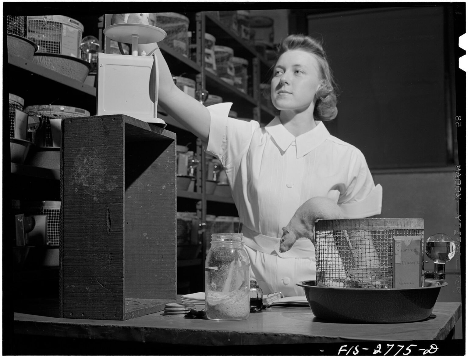 From the Front Line to the Freezer Aisle | Science History Institute