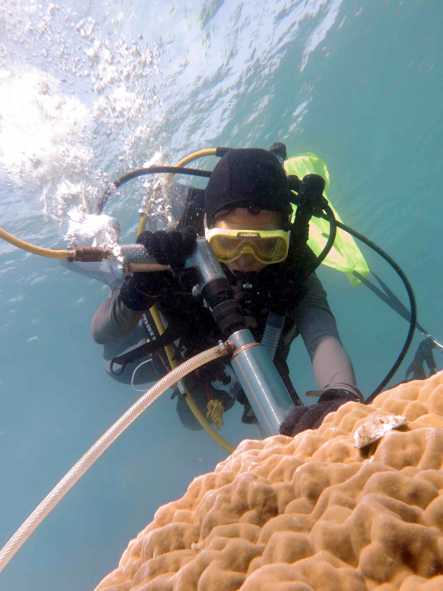 Proxies for Justice | Science History Institute