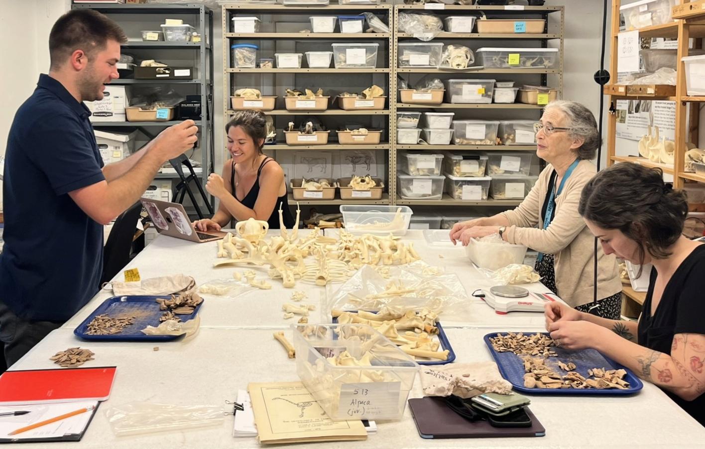 Animals in Historic Philadelphia: Food, Labor, and Industry | Science ...