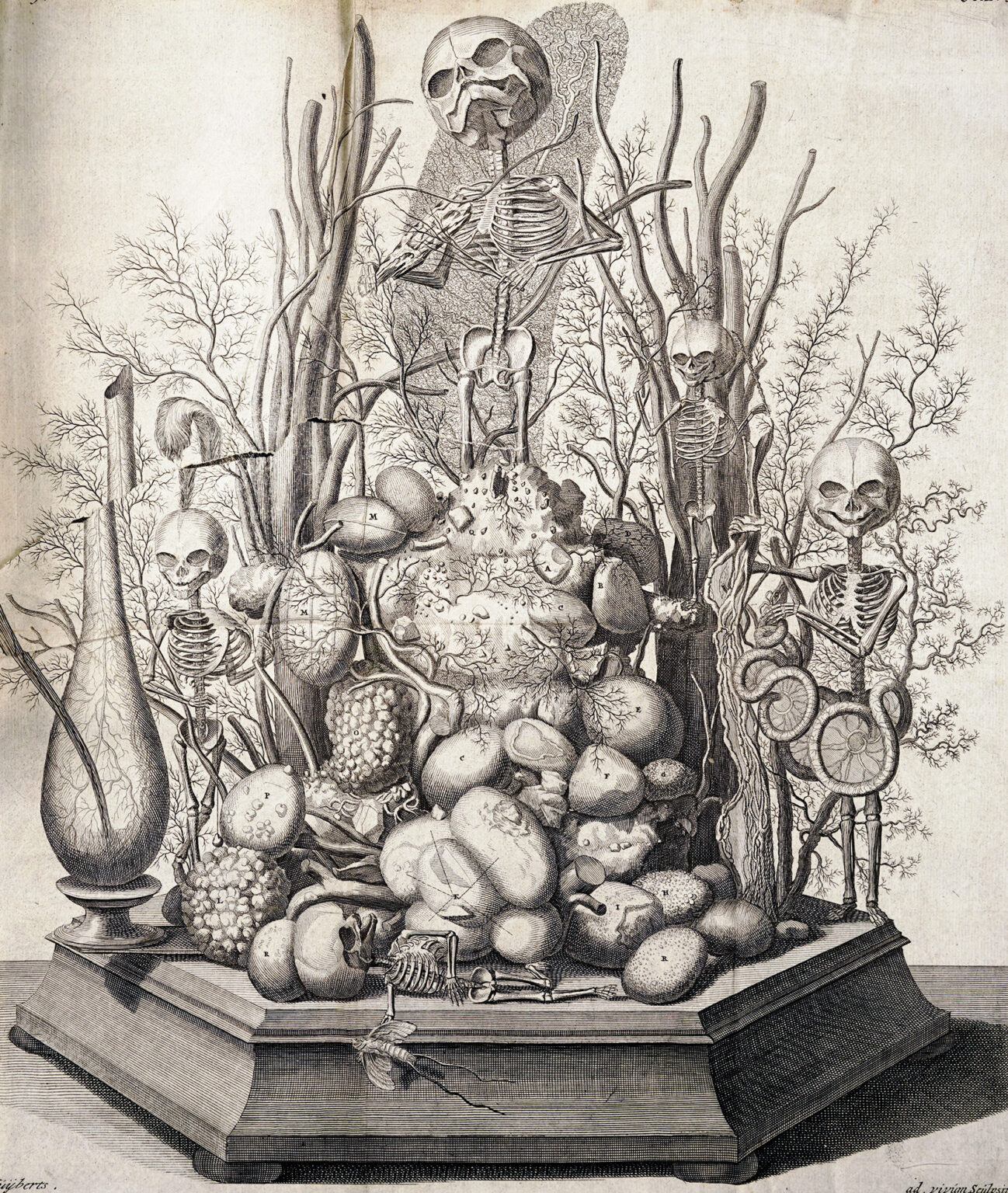 Collect Call | Science History Institute