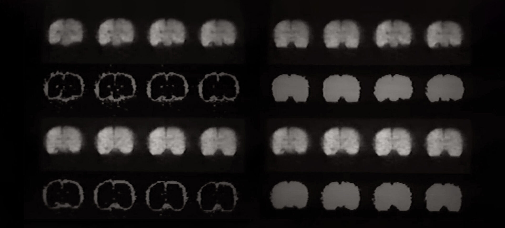 Science History Institute