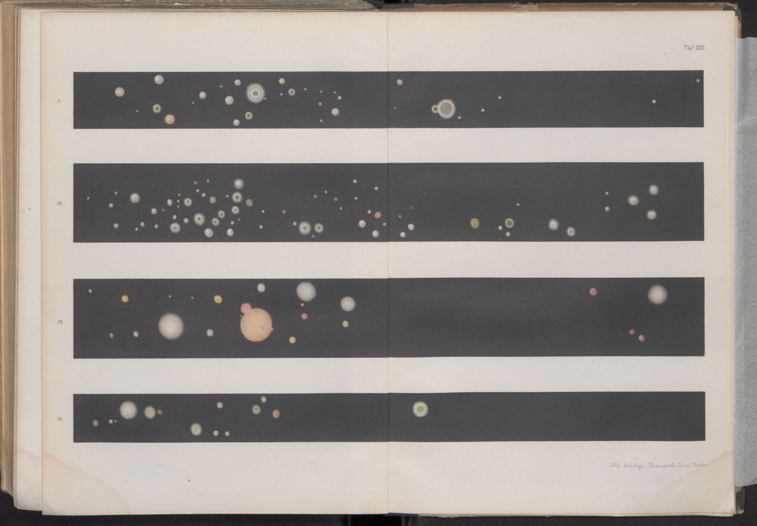 Fanny Angelina Hesse | Science History Institute