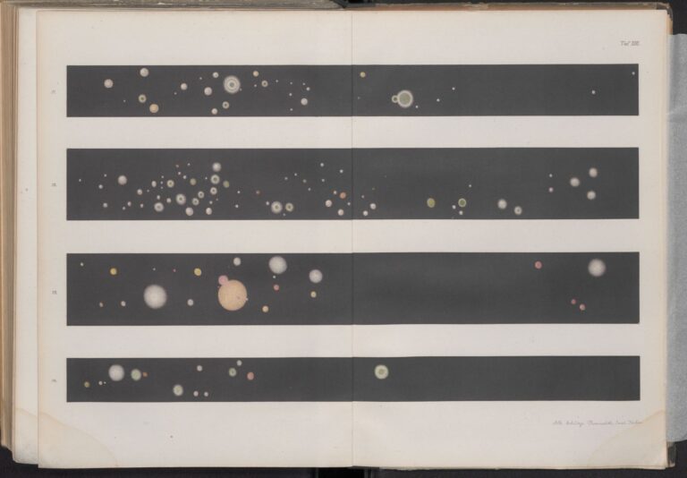 Fanny Angelina Hesse | Science History Institute