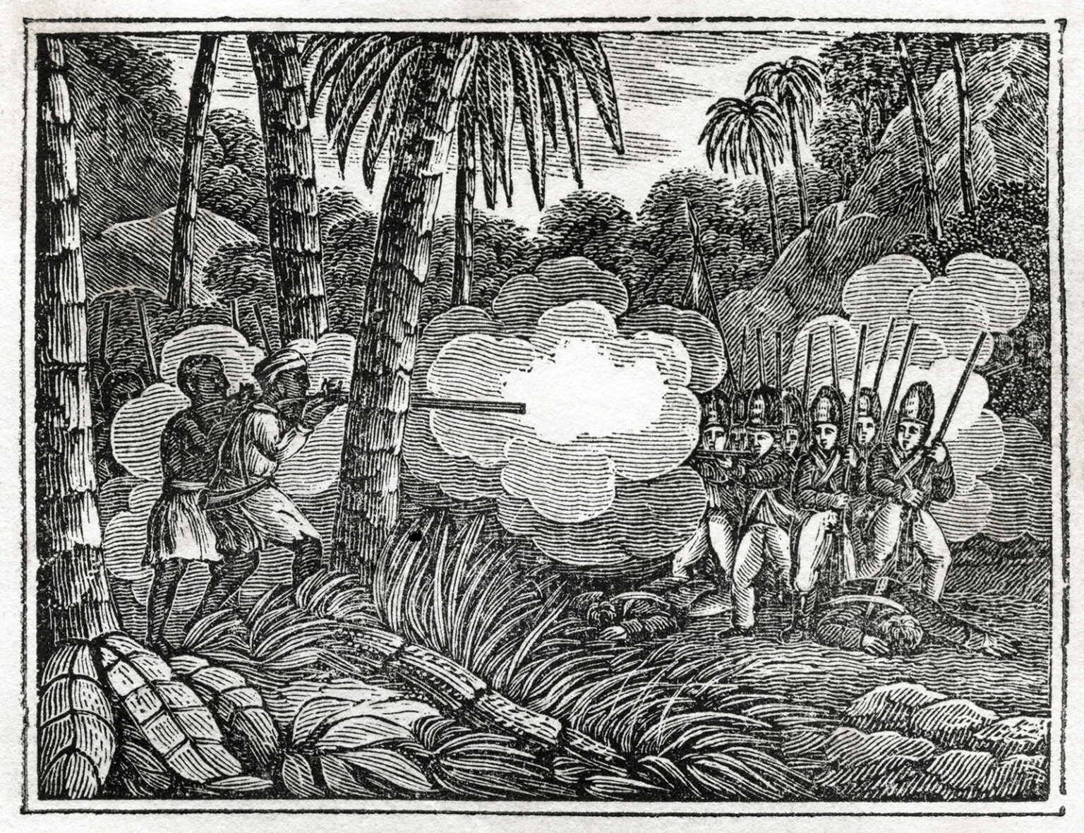 Sesame Plots | Science History Institute