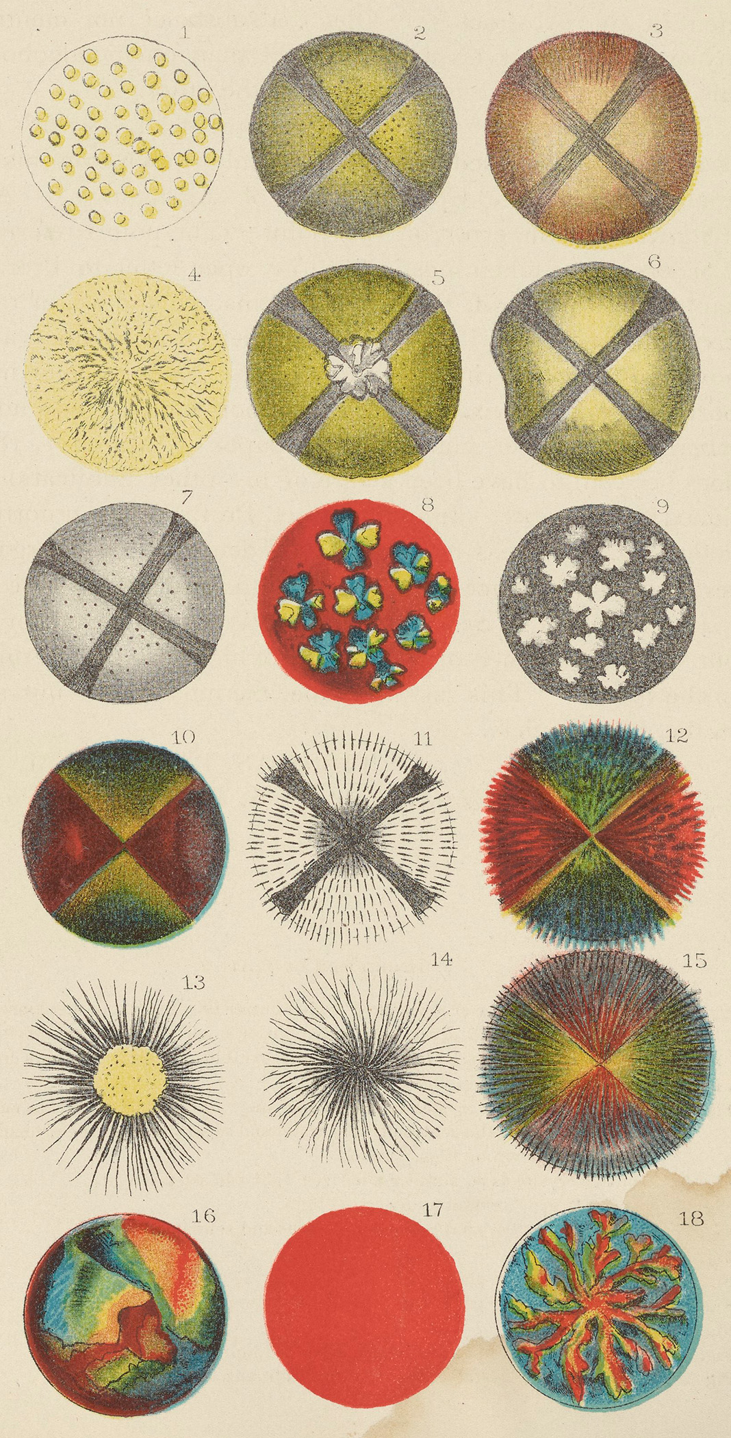 Sesame Plots | Science History Institute