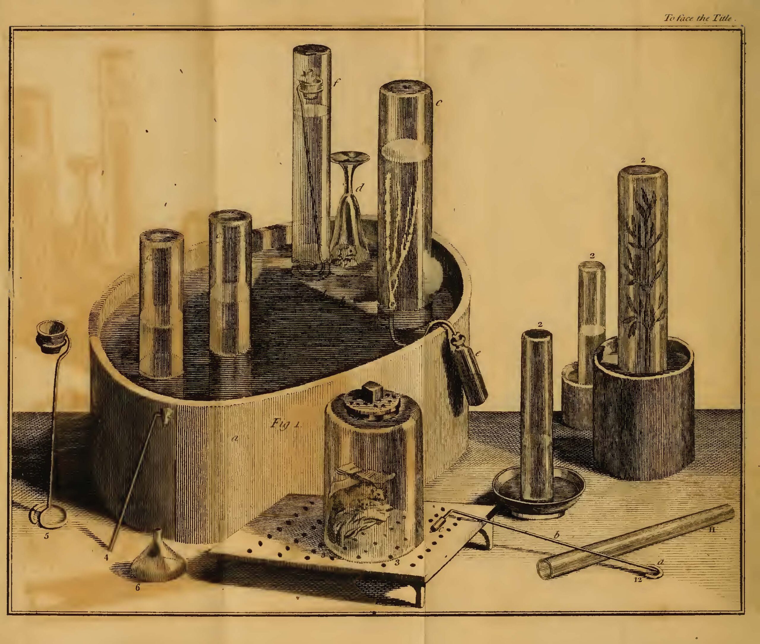 Priestley Experiment Observation