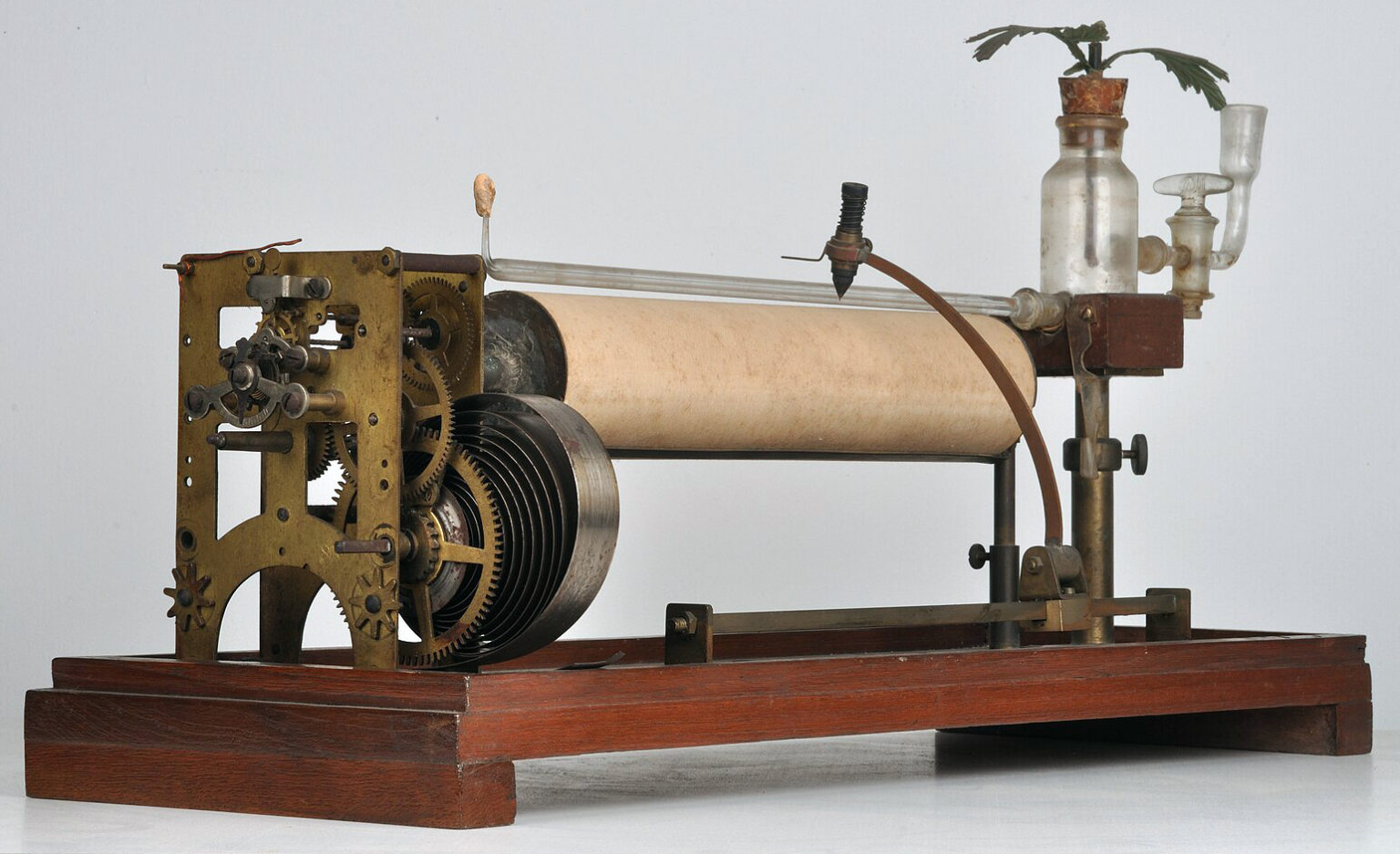 The Thinking Plant’s Man | Science History Institute