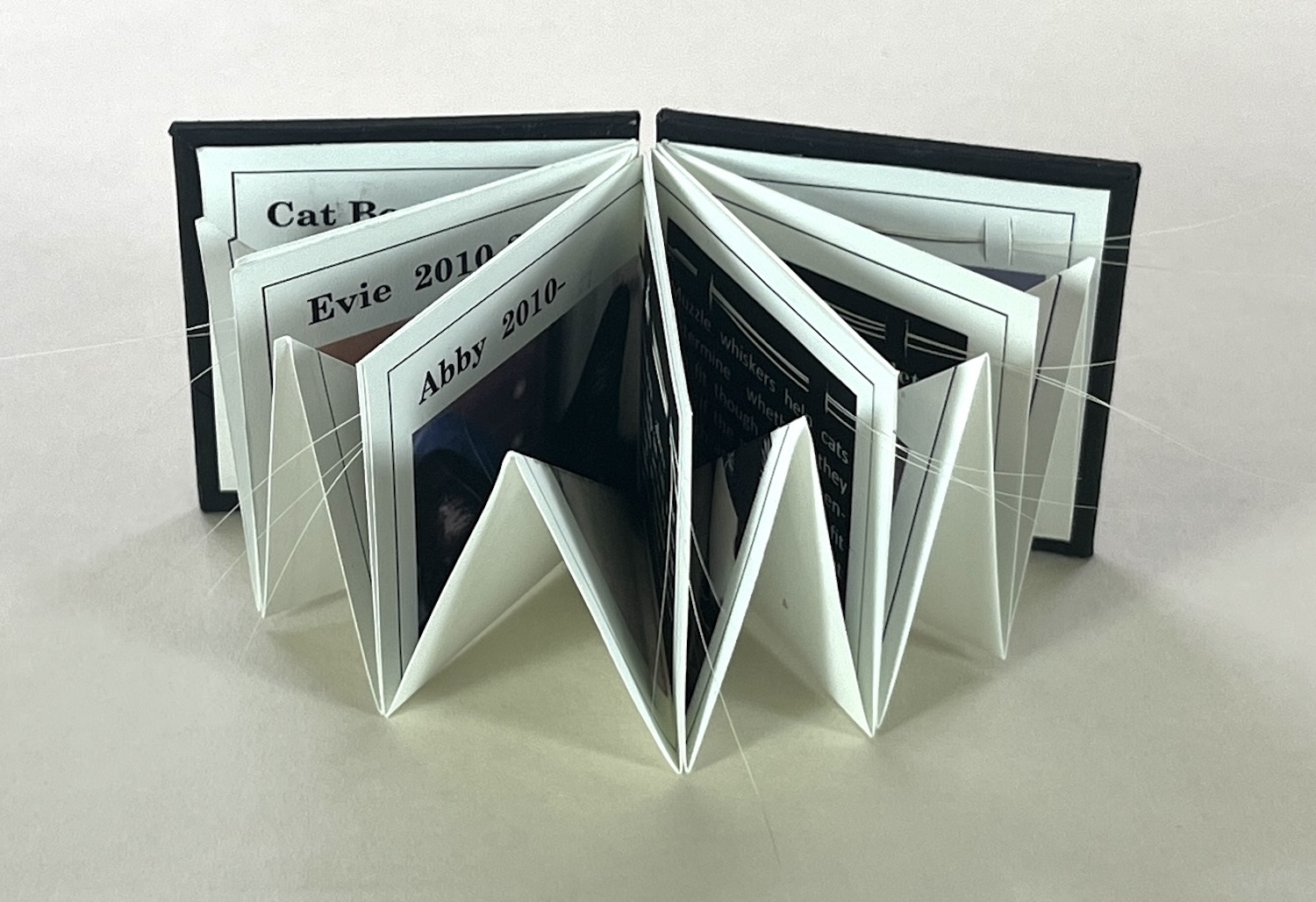 Reaction: Artists Transform the Sample Book | Science History Institute