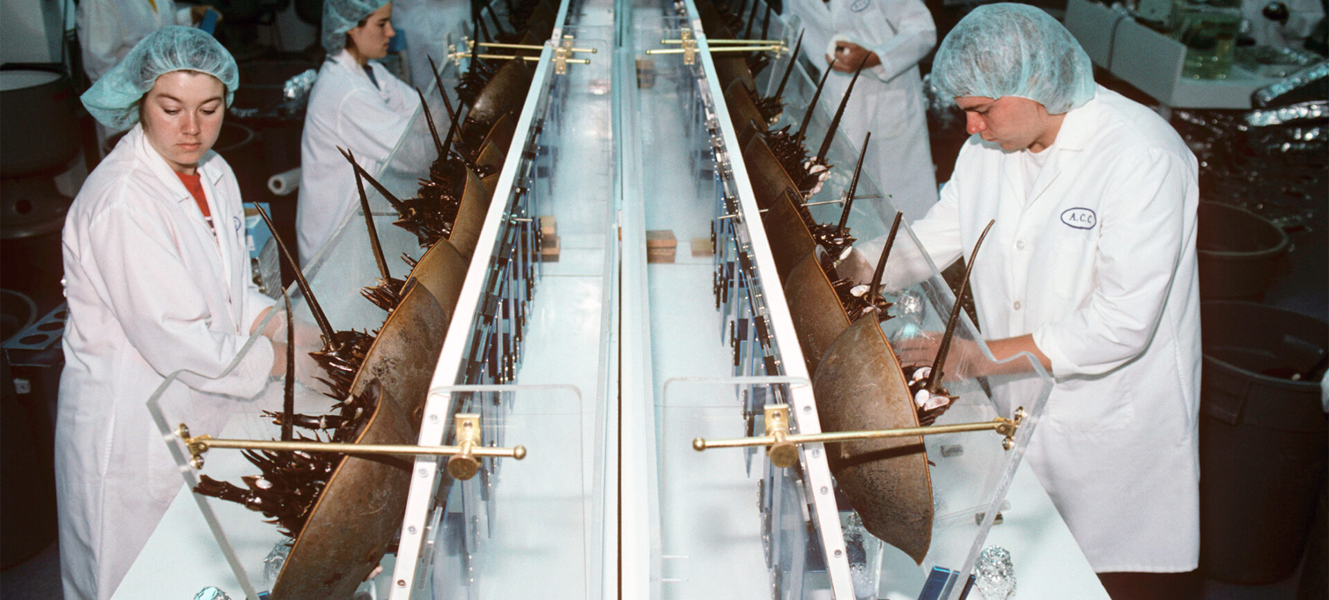 Science History Institute