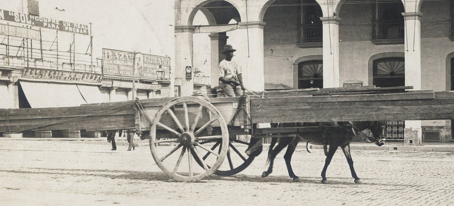 Mule Power | Science History Institute