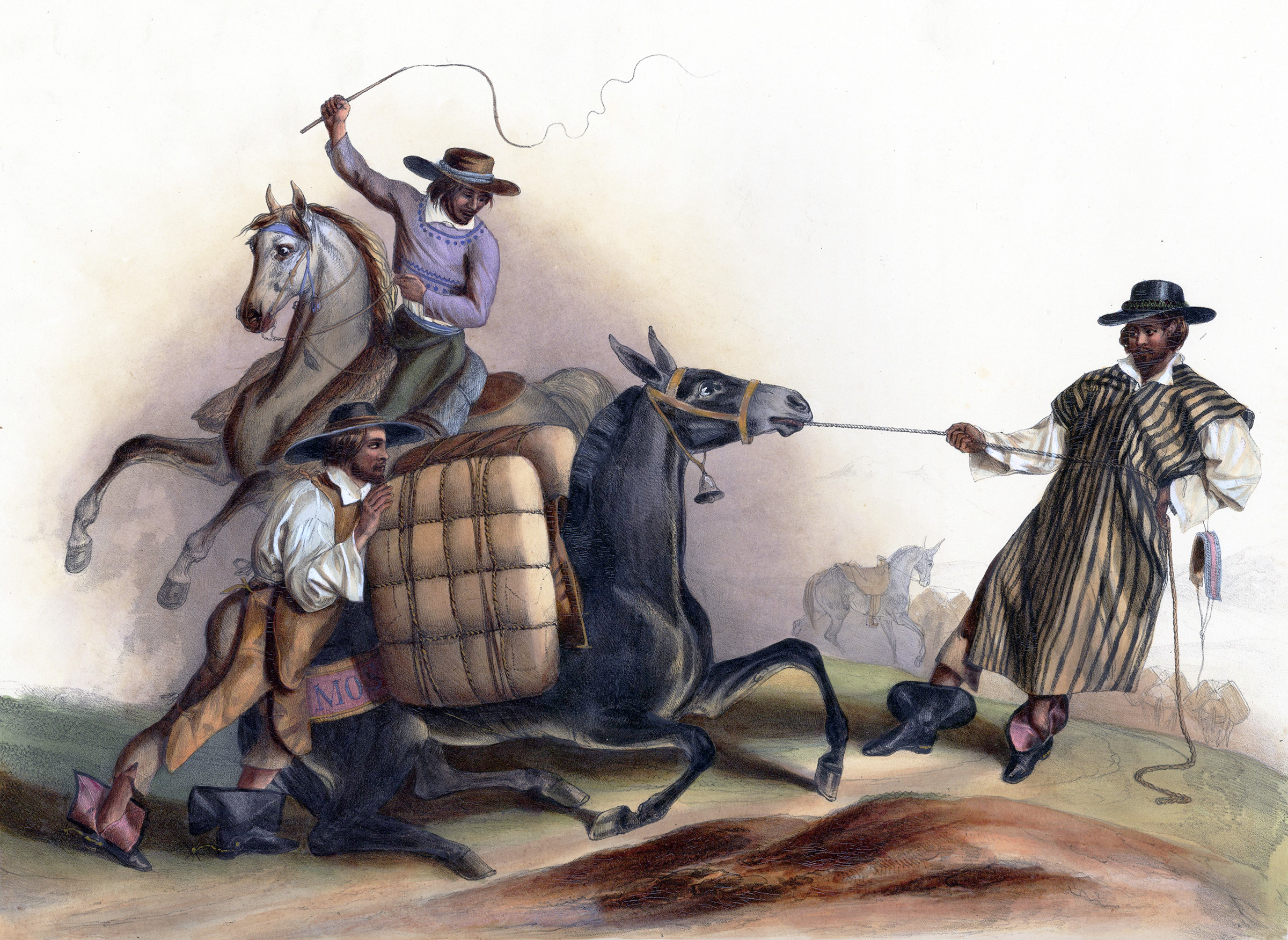 Mule Power | Science History Institute