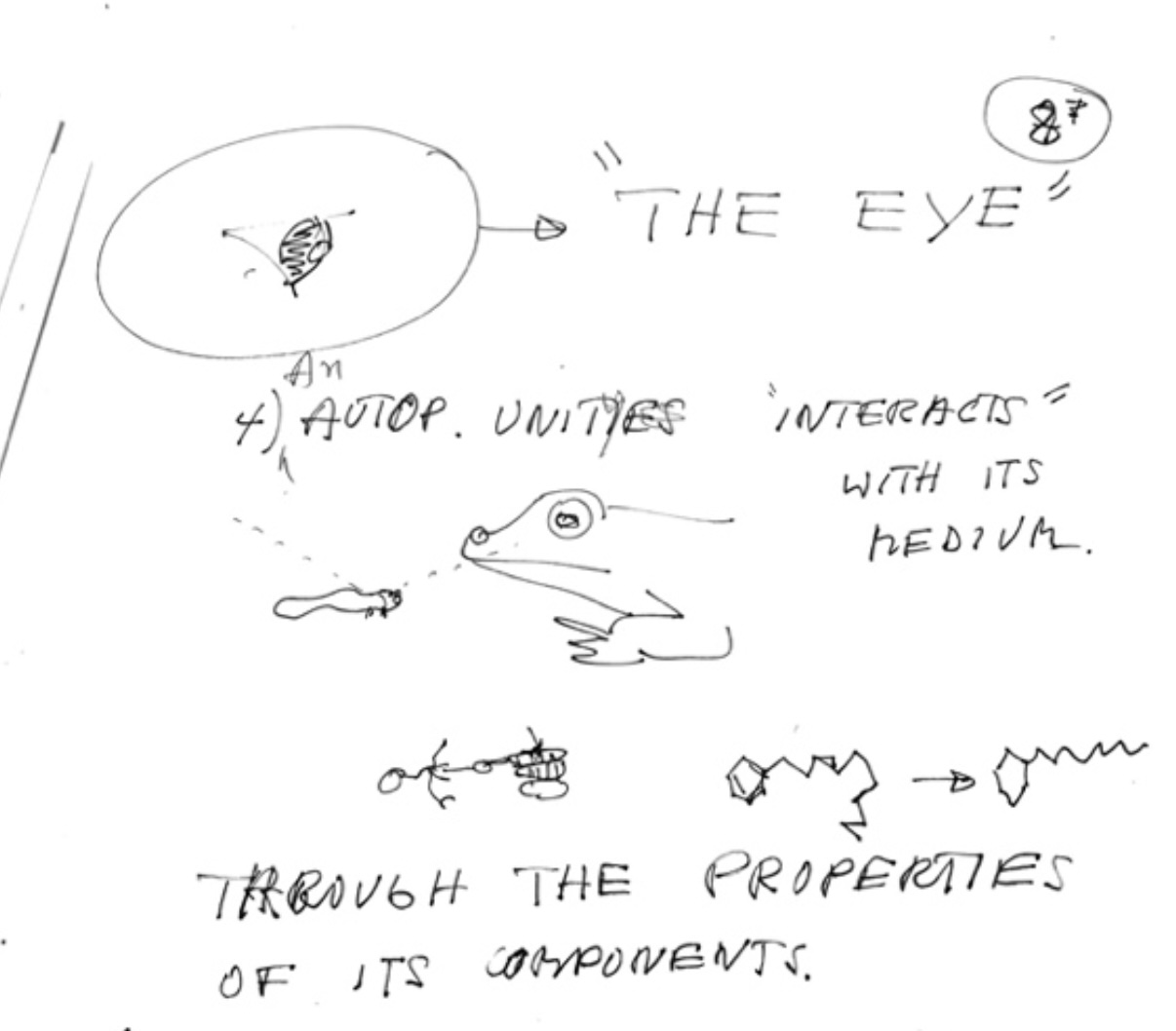 What Frogs and Octopuses Know (That ChatGPT Doesn't) | Science History ...