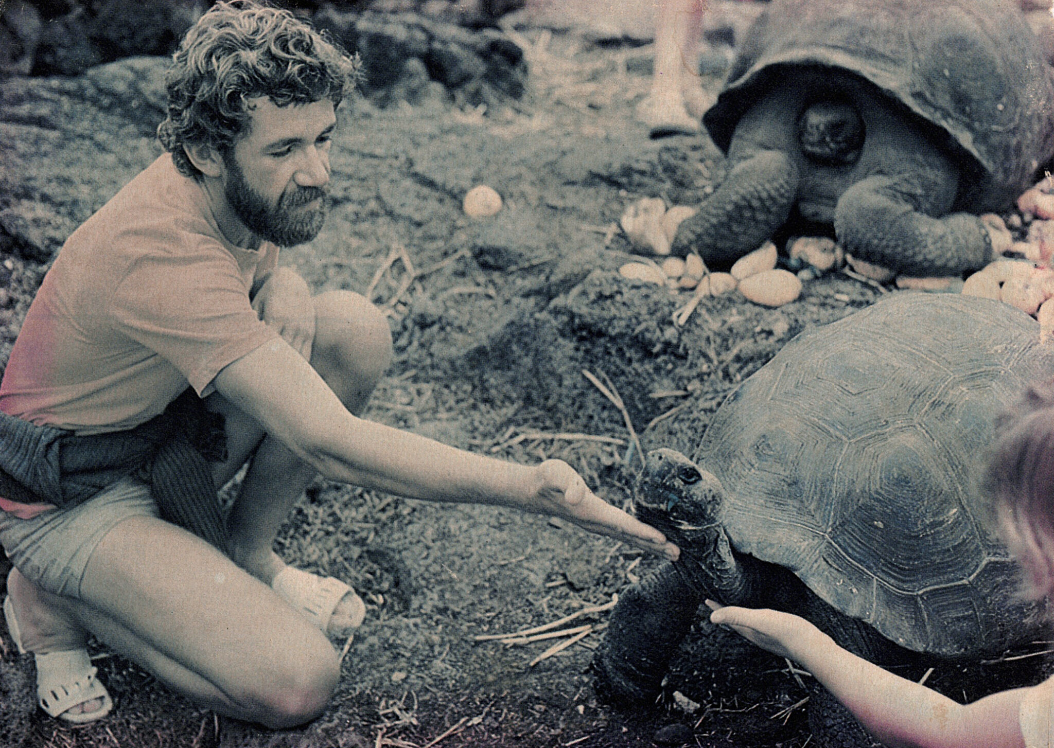 The Galápagos Islands: Evolutionary Insights | Science History Institute